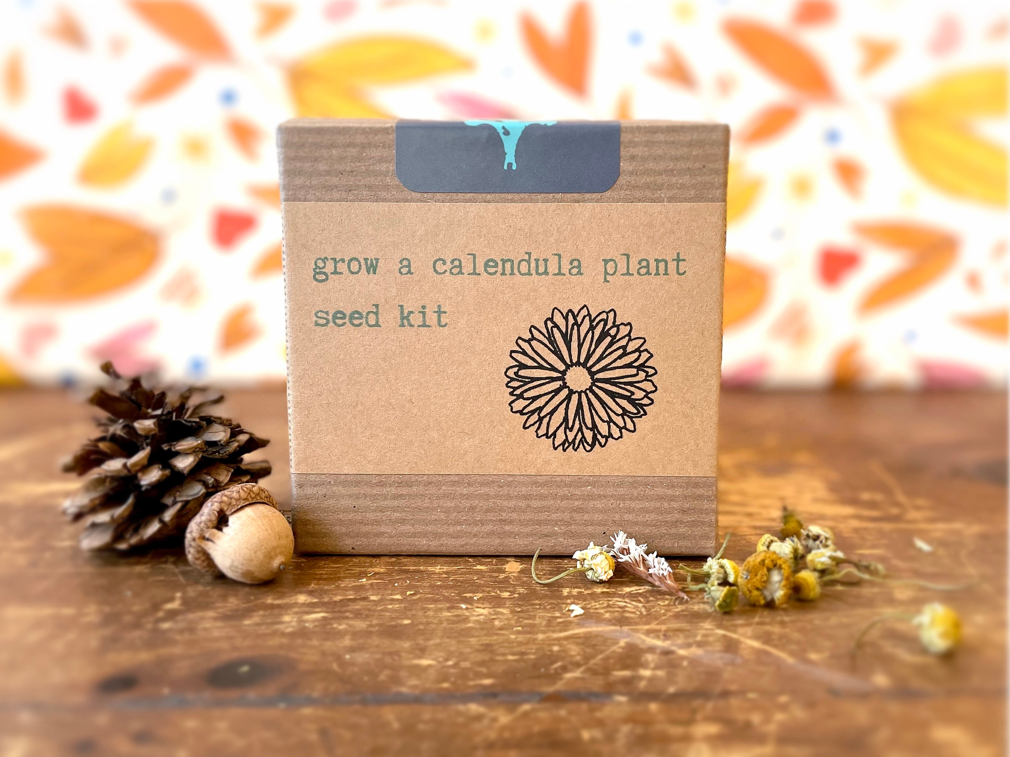 Calendula Tea Growing Kit (Get Growing) – UpRoot Design Studio