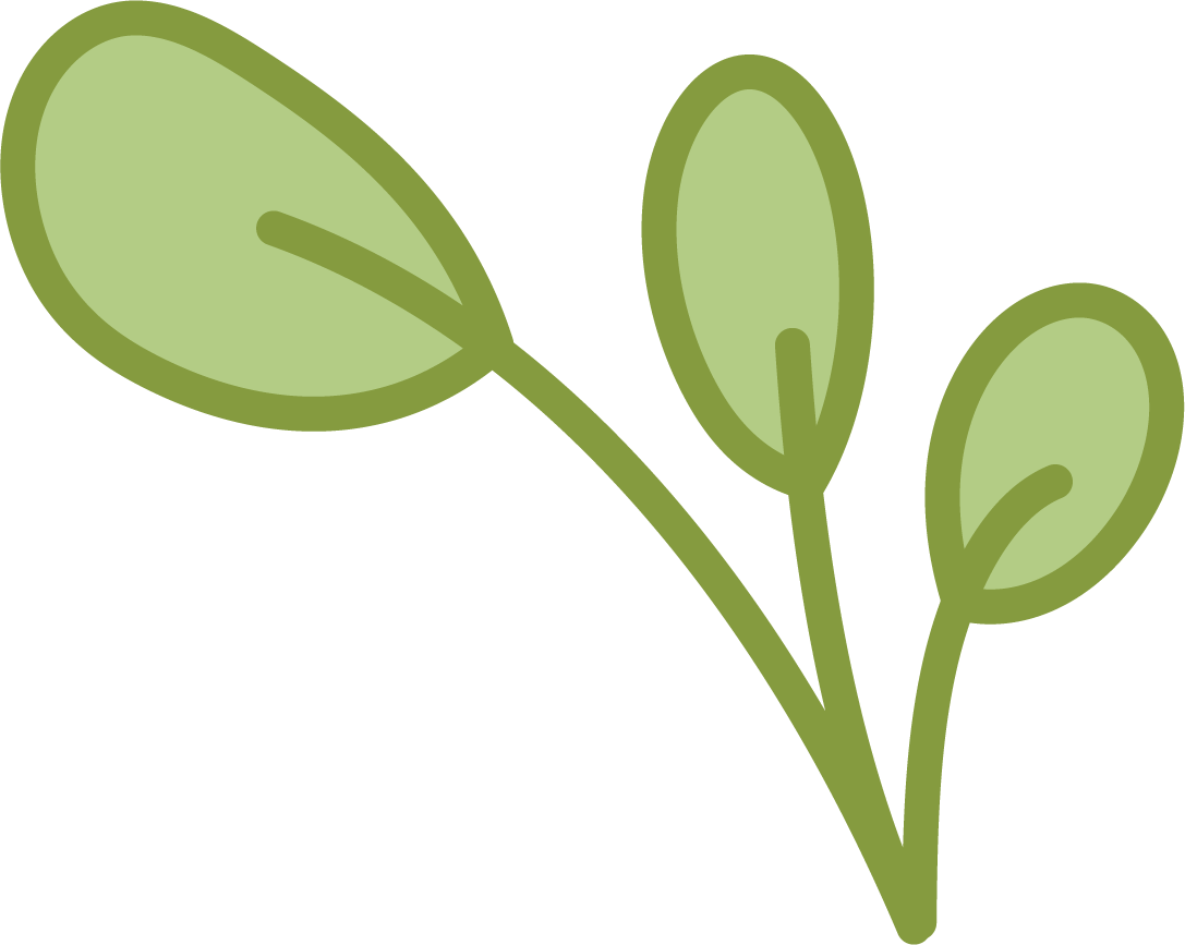 Seeds, Plants & Growing Kits – UpRoot Design Studio