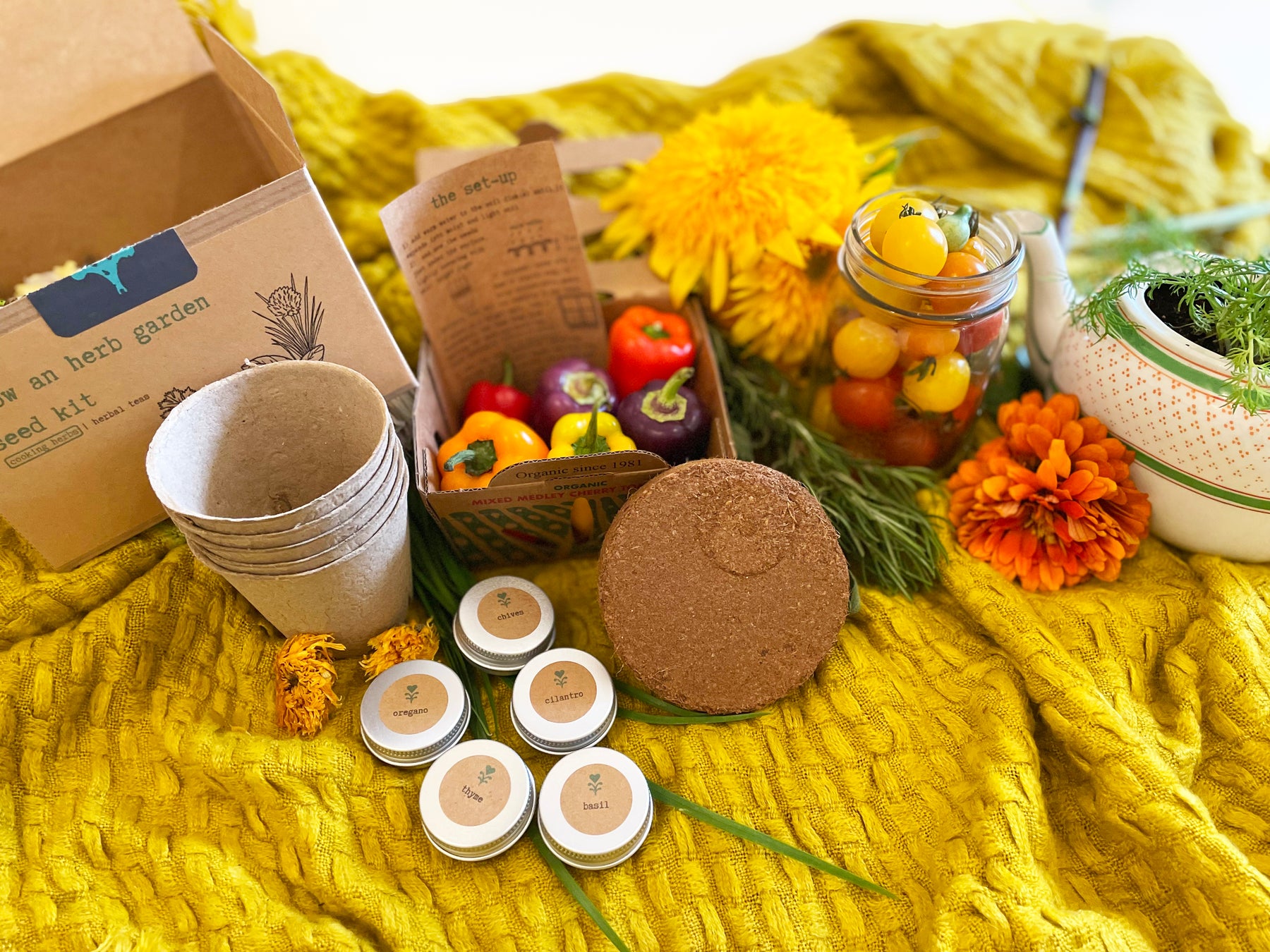 Cooking Herbs Growing Kit w. Planters, Soil Pod & Organic Non-GMO, US ...