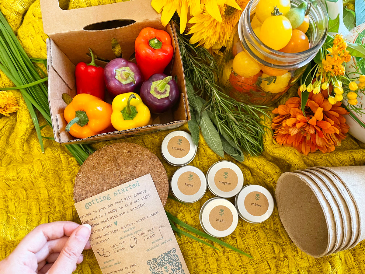 UpRoot Design Studio